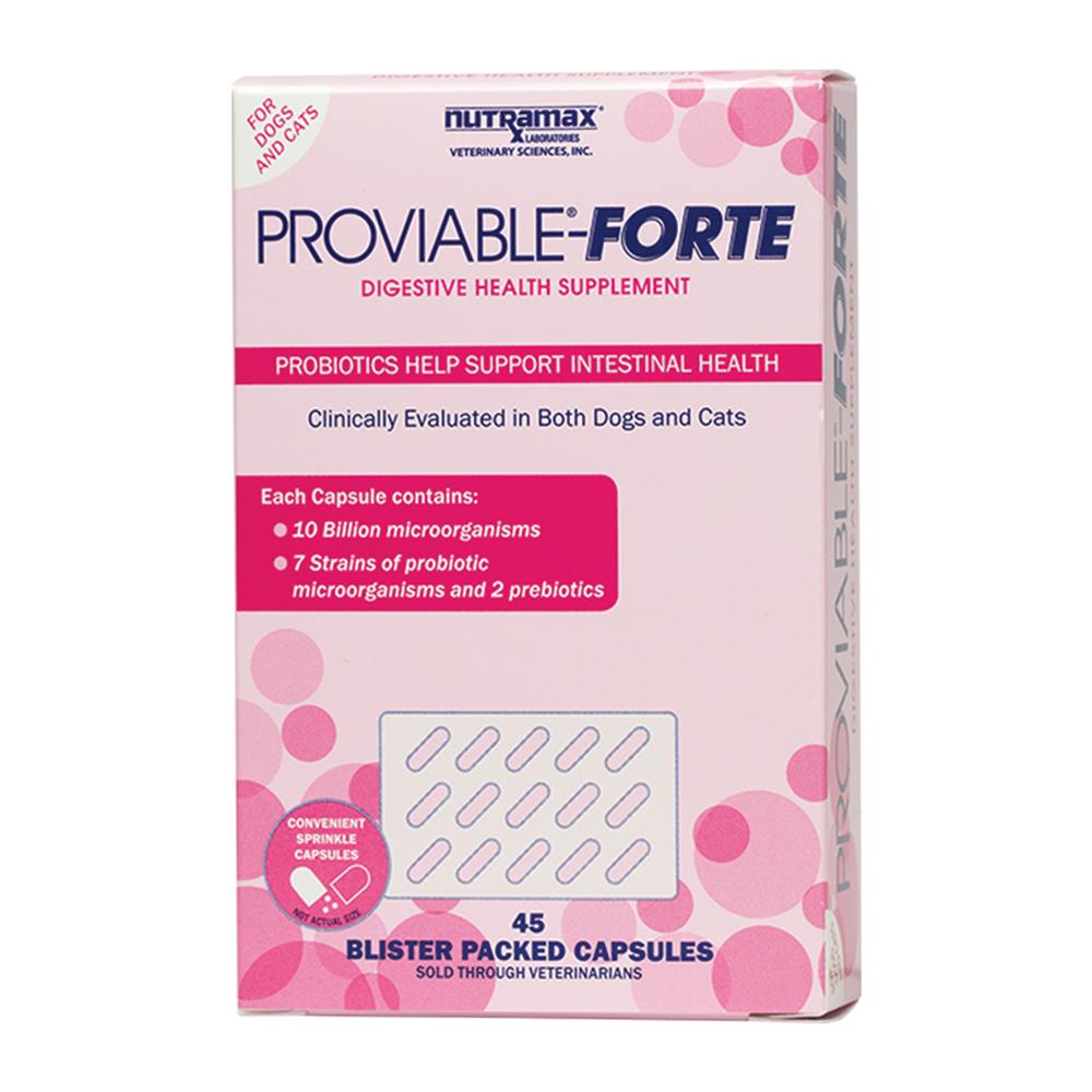 Proviable Forte Capsules - 45 Capsules - www.pawsco.ca