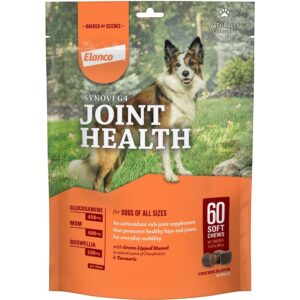 Synovi G4 Joint Health Soft Chews - 60 Chews - www.pawsco.ca
